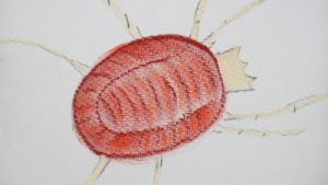 Es ist wieder Herbstmilbenzeit - Blue Blog